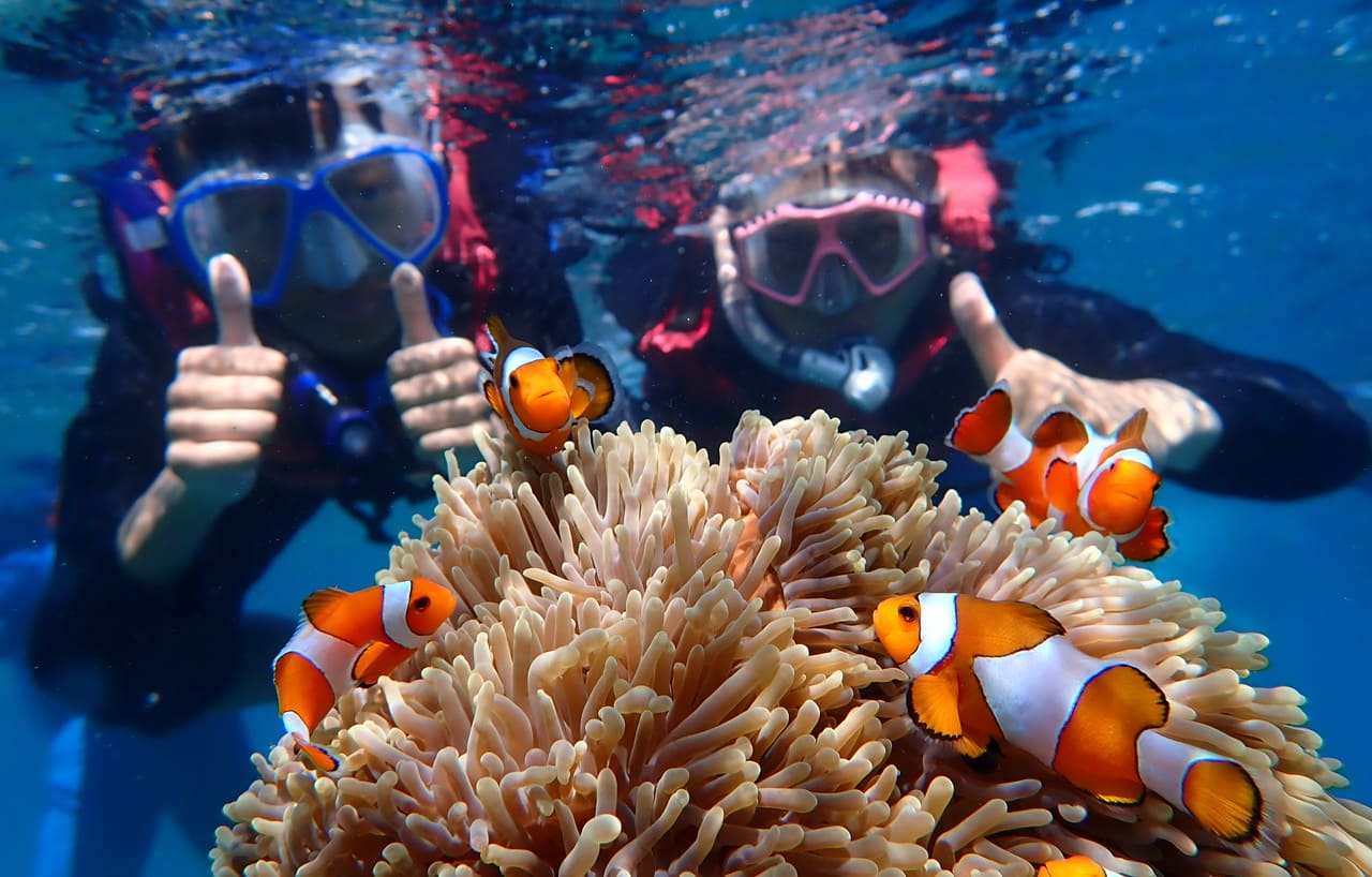 Spot Ikan Nemo Karimunjawa • Wisata Karimunjawa Travel